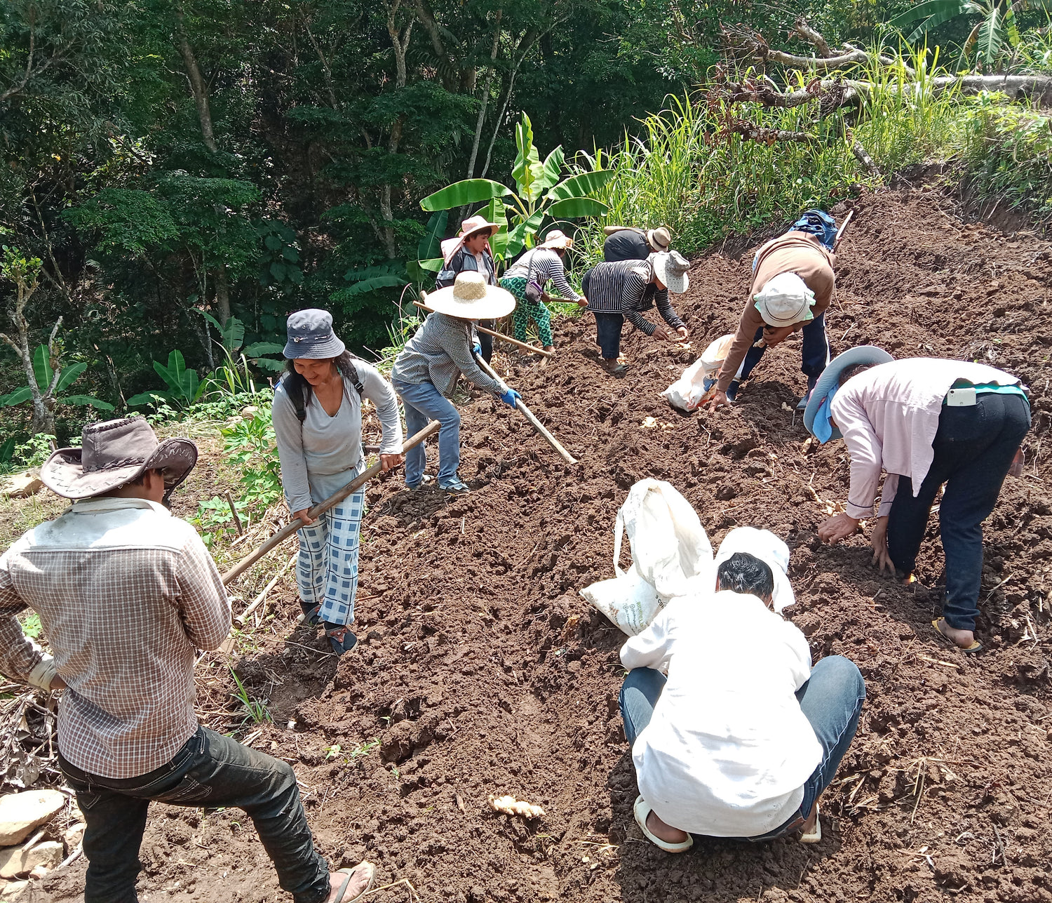 Good Food Guide – Good Food Community