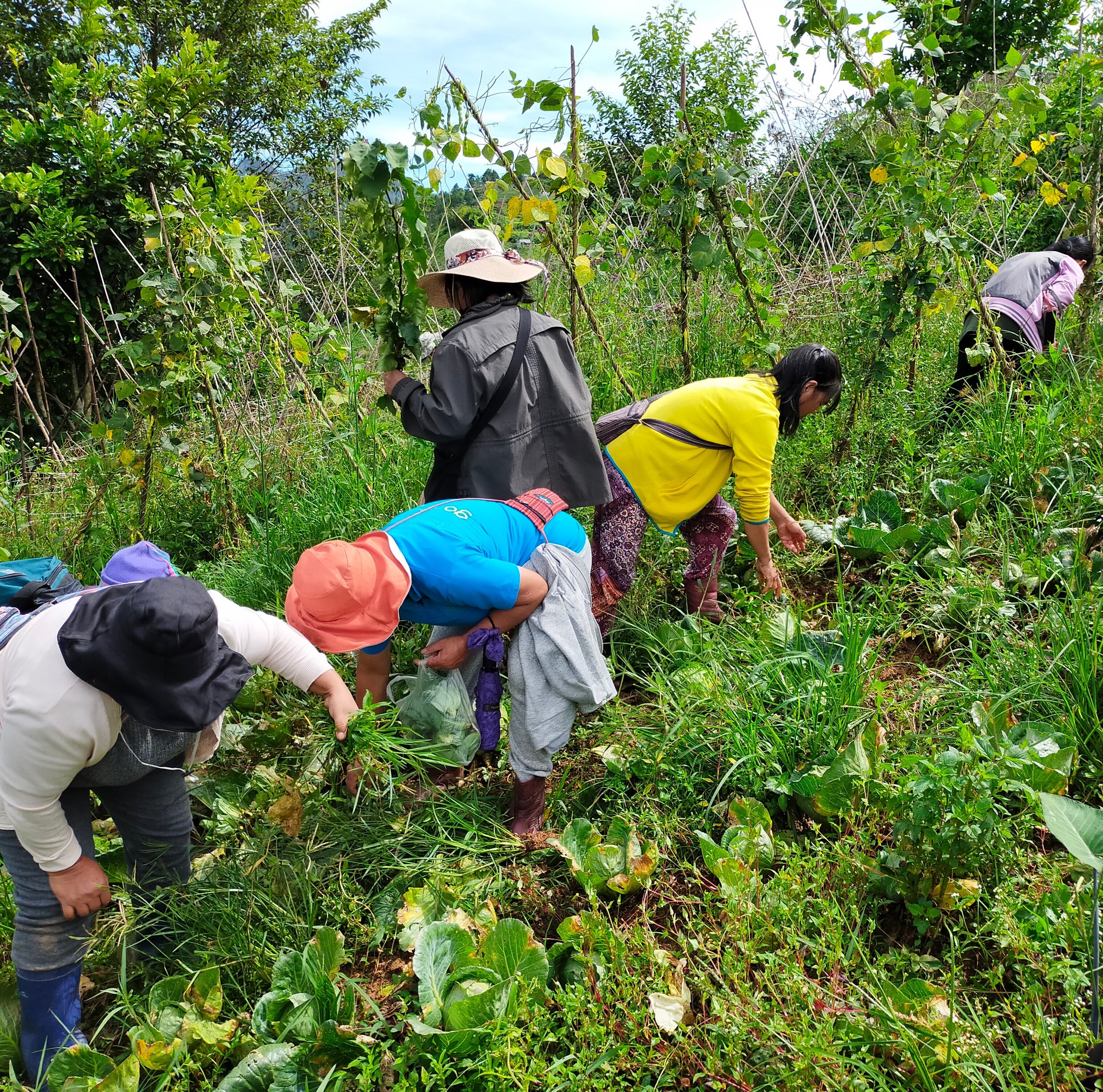 Gulay Farmstand – Good Food Community