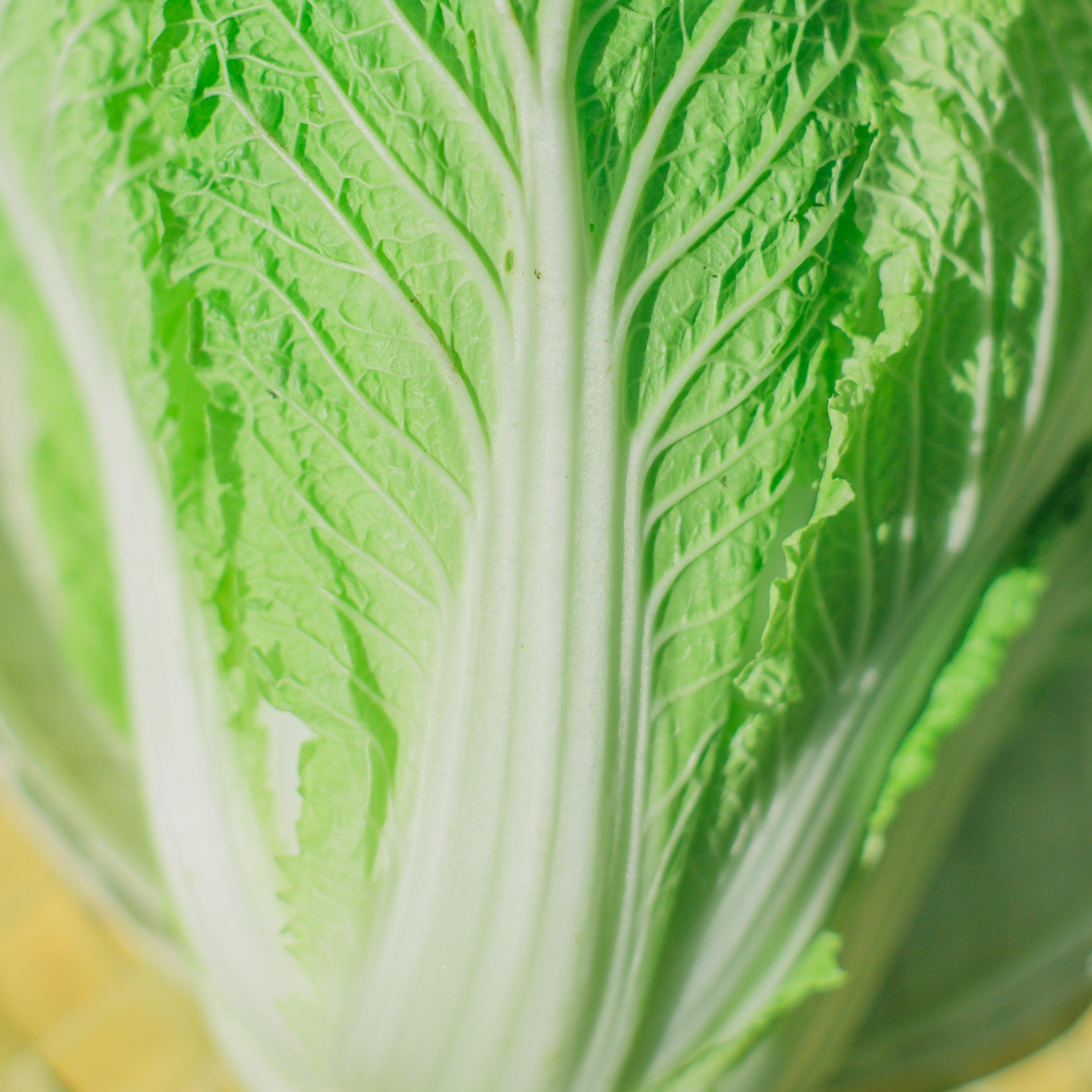 Gulay Farmstand – Good Food Community