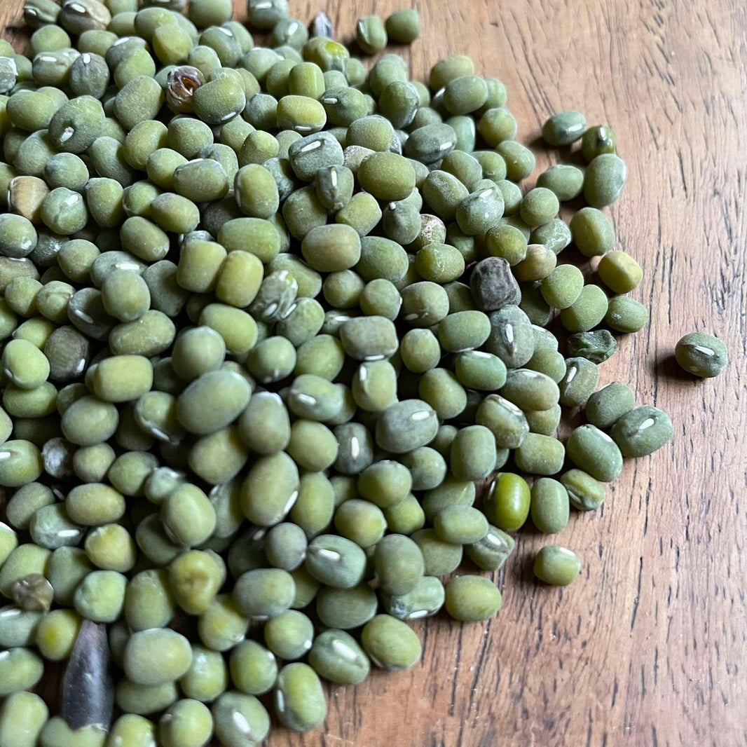 Gulay Pambahay | Metro Manila Organic Fruit and Vegetable Delivery ...